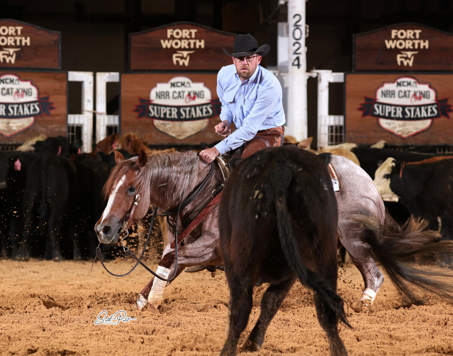 Hashtags Hits $3 Million Milestone: Sires NCHA’s Top Horses of 2024 ...