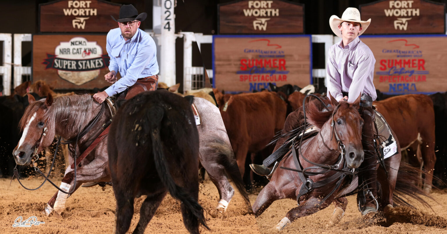 Hashtags Hits $3 Million Milestone: Sires NCHA’s Top Horses of 2024 ...